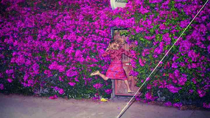 Feist Releases New Song Called 'Century' | Music News @ Ultimate-Guitar.Com