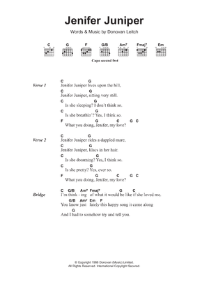 catch the wind guitar tutorial