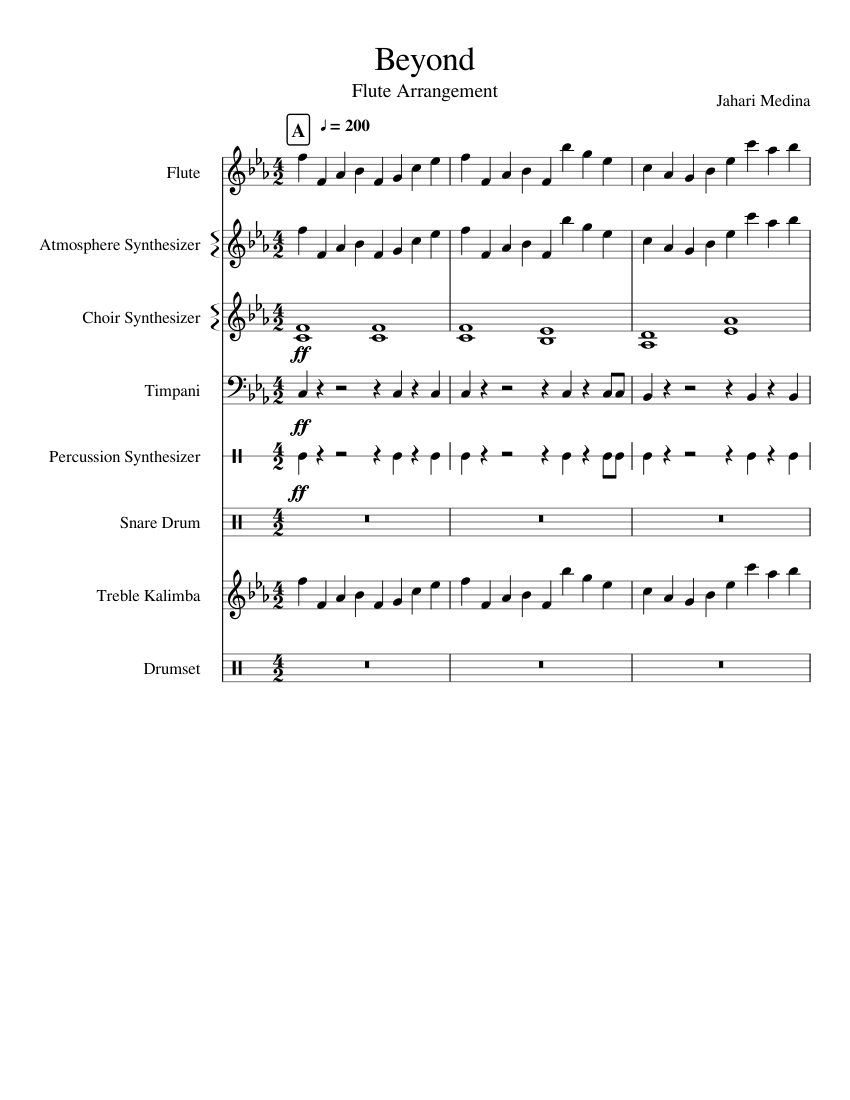 Beyond Sheet Music for Flute, Timpani, Snare drum, Drum group & more ...