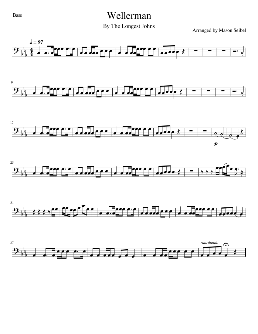 Wellerman Bass Sheet music for Contrabass (Chamber Orchestra ...