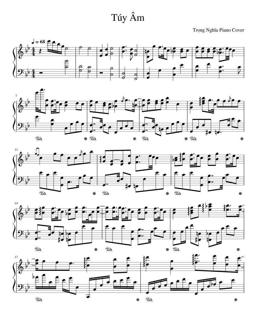 Túy Âm Sheet music for Piano (Solo) | Musescore.com