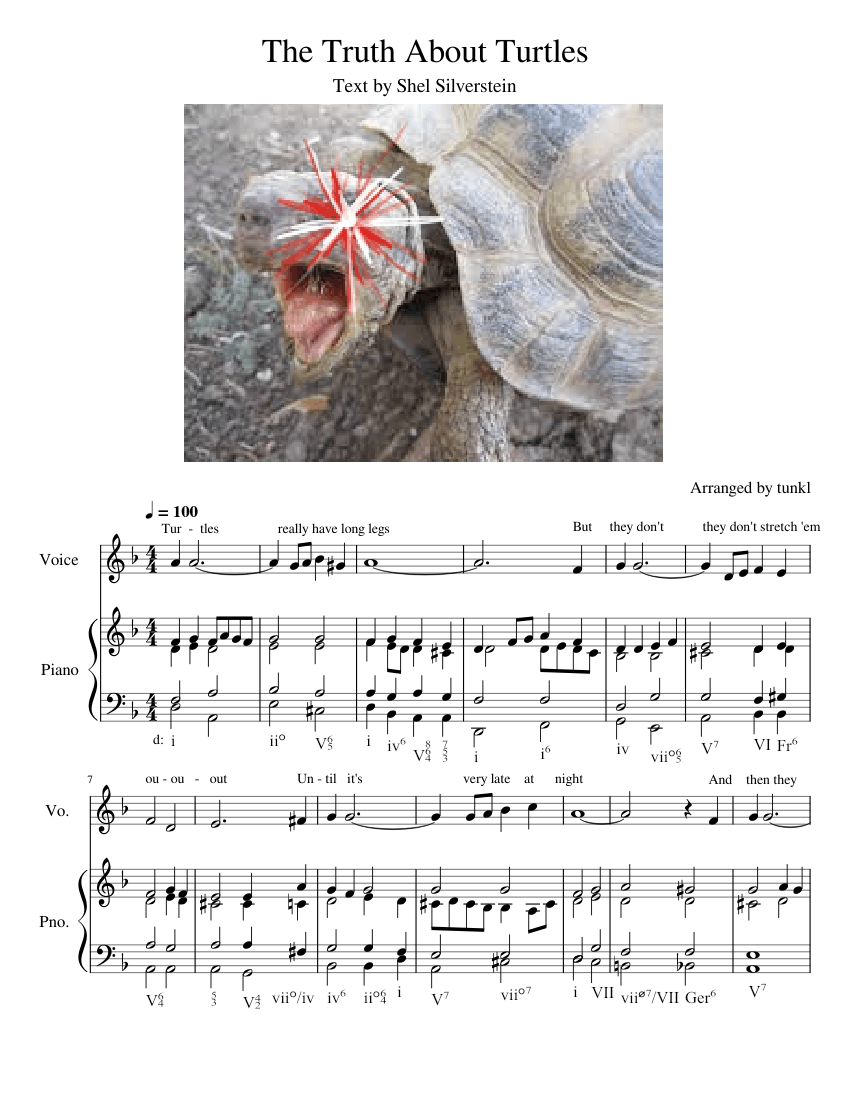 The Truth About Turtles - piano tutorial
