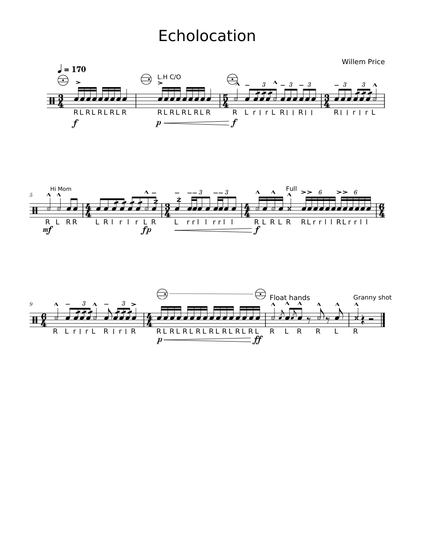 Echolocation Sheet music for Snare drum (Solo) | Musescore.com