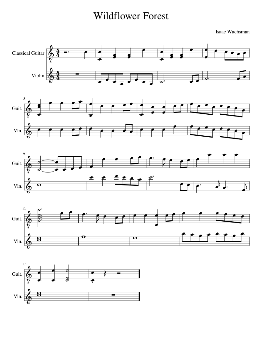 Wildflower Forest Sheet music for Violin, Guitar (Mixed Duet ...
