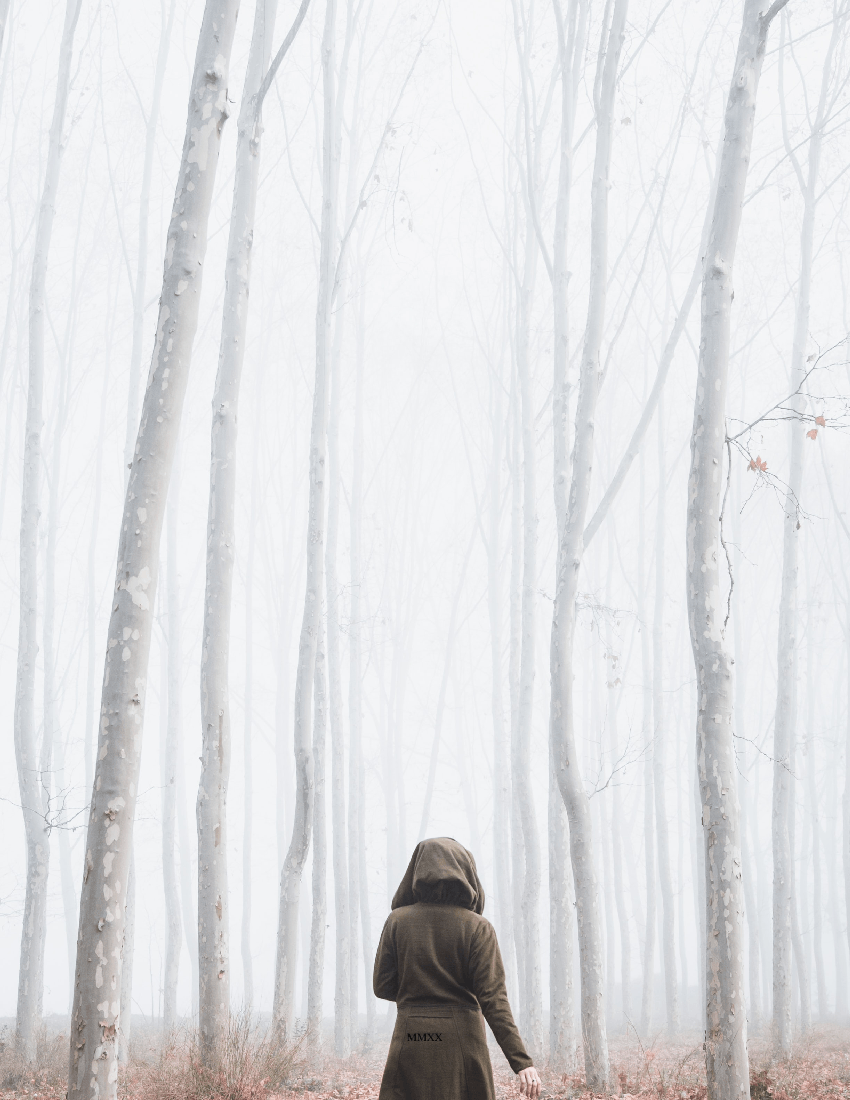 The Flying Witches "Fully Orchestrated" Sheet Music for Piano, Flute ...