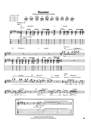 nutshell guitar chords