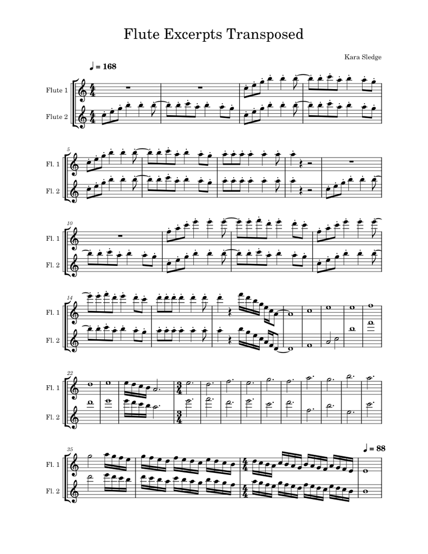 Flute Excerpts Transposed Sheet music for Flute (Woodwind Duet ...