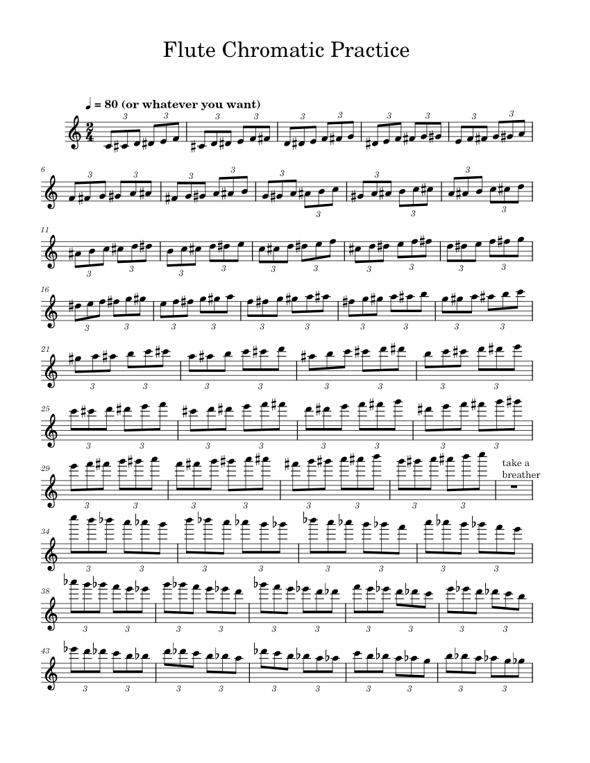 Flute Chromatic Practice Sheet music for Flute (Solo) | Musescore.com