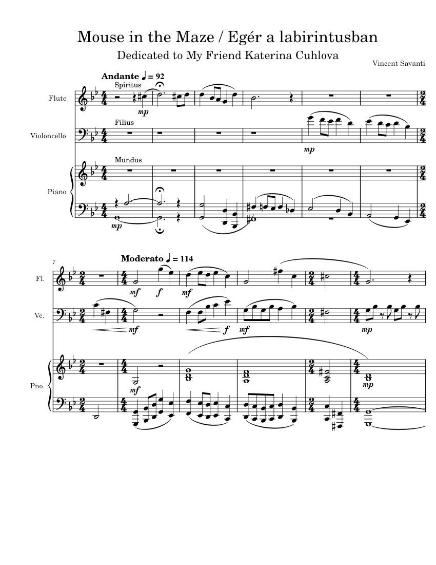Mouse in the Maze Flute Chello Piano Trio / Egér a labirintusban fuvola ...
