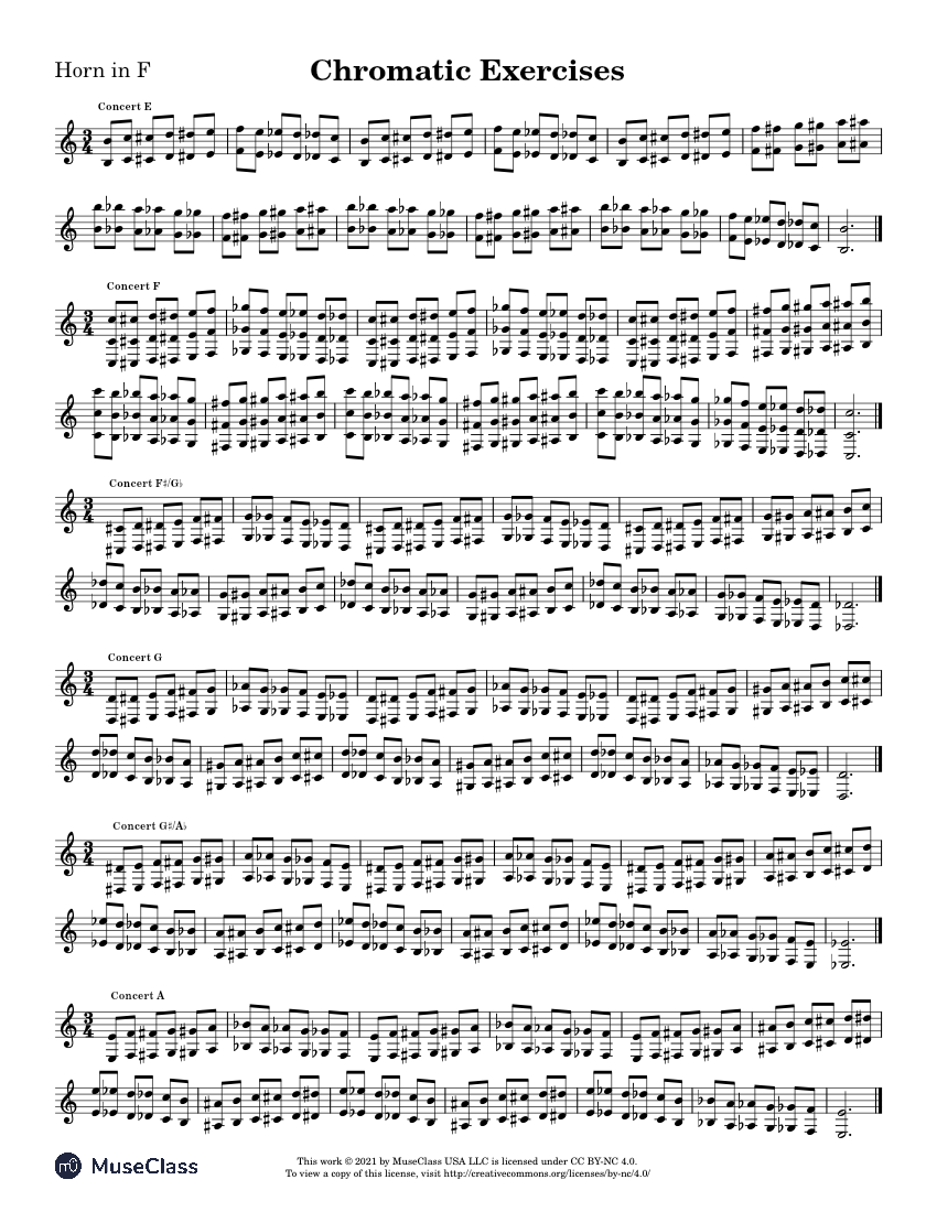 Chromatic Exercises for Horn in F Sheet music for French horn (Solo ...