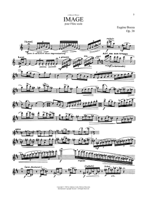 flute whole new world