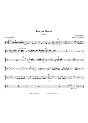 Chayanne Madre Tierra Chayanne Madre Tierra Spanish Tú Commands Song