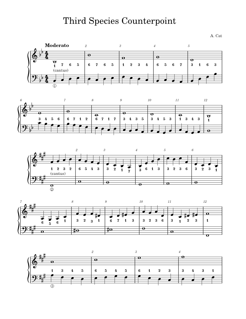 Third Species Counterpoint Exersises Sheet music for Organ (Solo ...