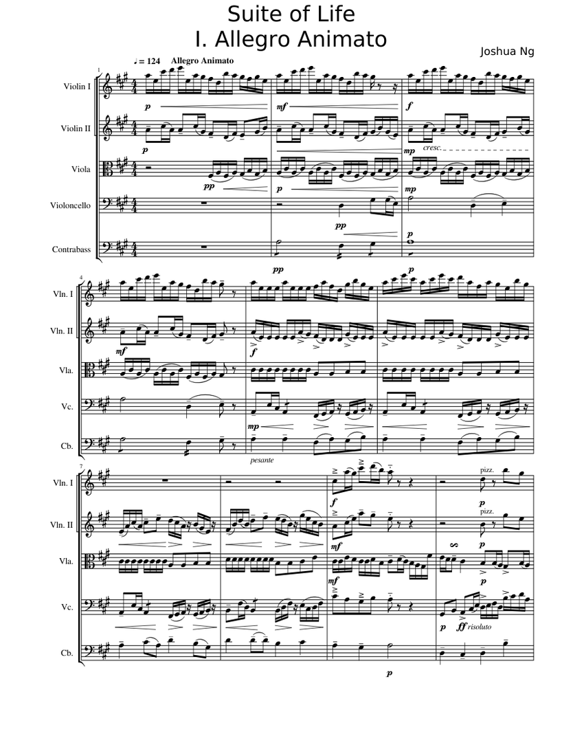 Suite Of Life 1st Movement: Vivace Con Brio Sheet music for Contrabass ...