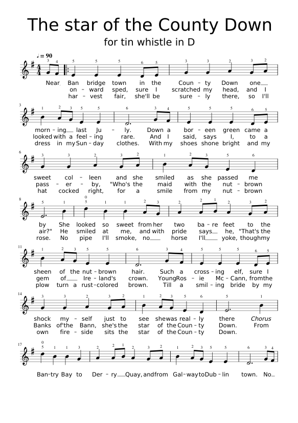 The star of the County Down Sheet Music for Flute (Solo) | MuseScore.com