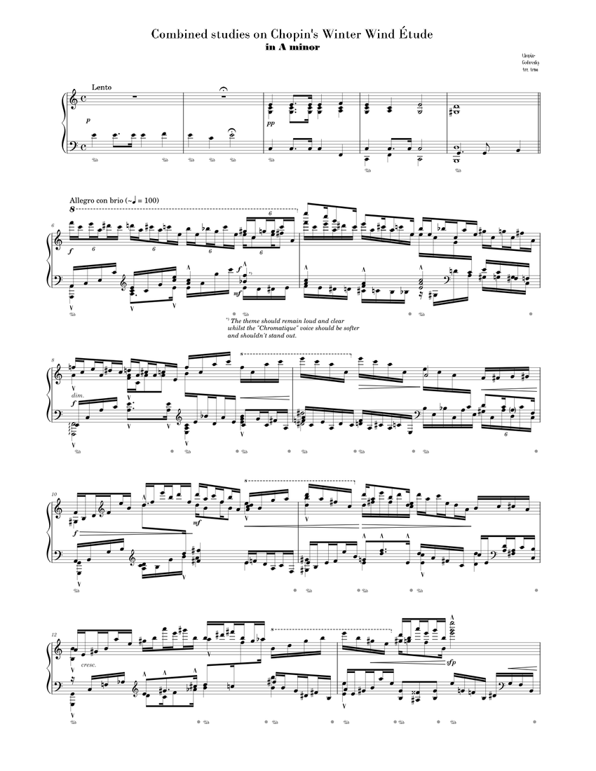 Combined studies on Chopin's 'Winter Wind' Étude Sheet music for Piano ...