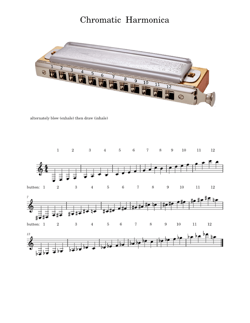 Chromatic Harmonica Sheet Music for Piano (Solo) Easy | MuseScore.com