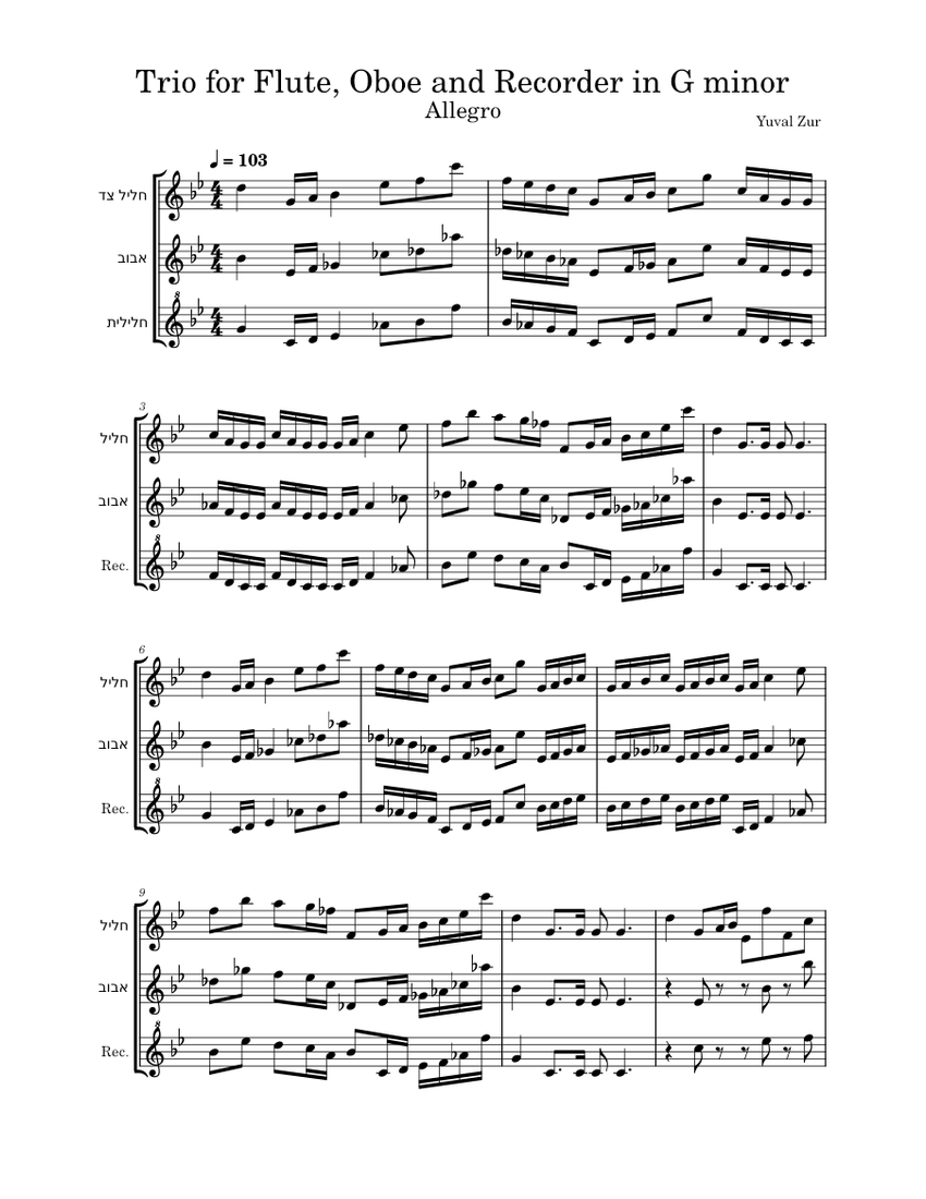 Trio for Flute, Oboe and Recorder in G minor part 1 Allegro - piano ...