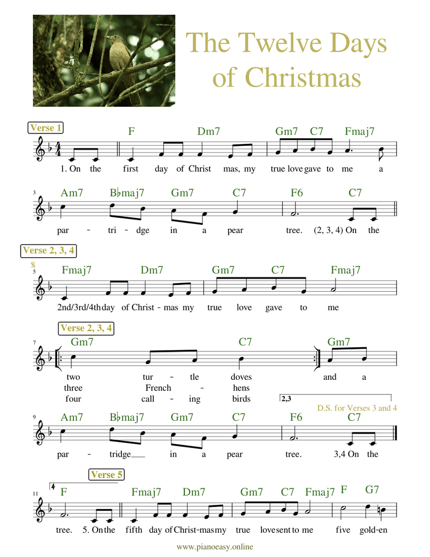 The Twelve Days Of Christmas Sheet music for Piano (Solo) Easy ...
