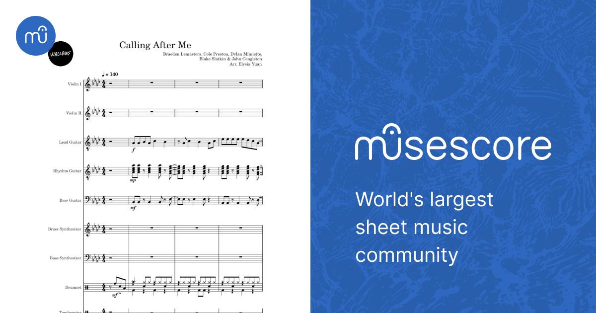 Calling After Me - Wallows Sheet Music for Tambourine, Violin, Guitar ...