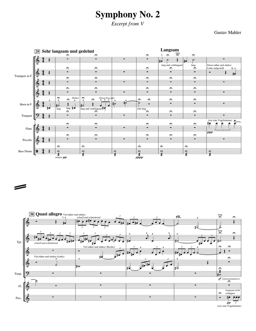 Gustav Mahler - Symphony No. 2 "Resurrection": Excerpt from Movement V Sheet music for Flute ...