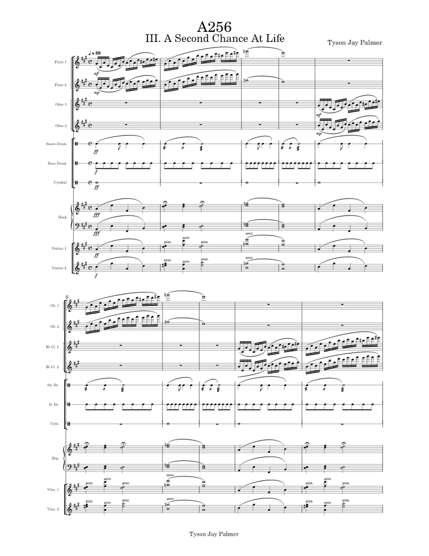A256 - III. A Second Chance At Life - Tyson Jay Palmer Sheet Music for ...