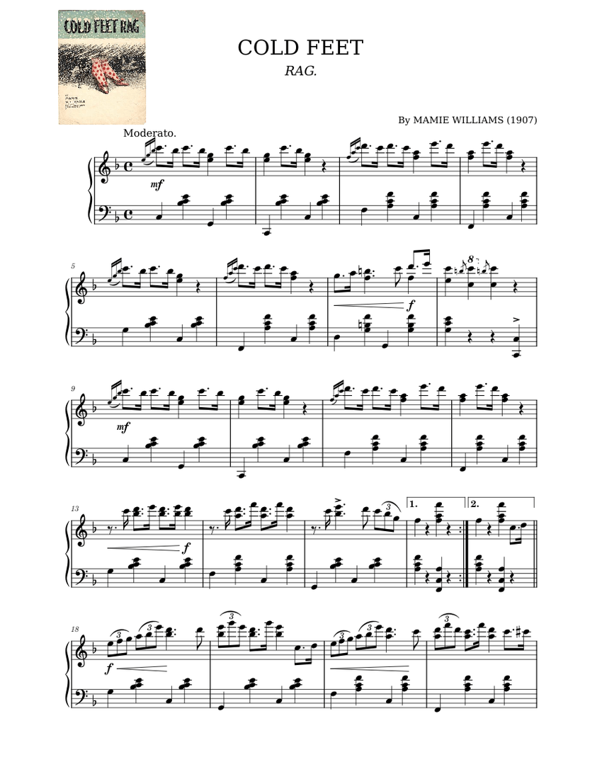 Cold Feet Rag by Mamie Williams (1907) Sheet music for Piano (Solo ...