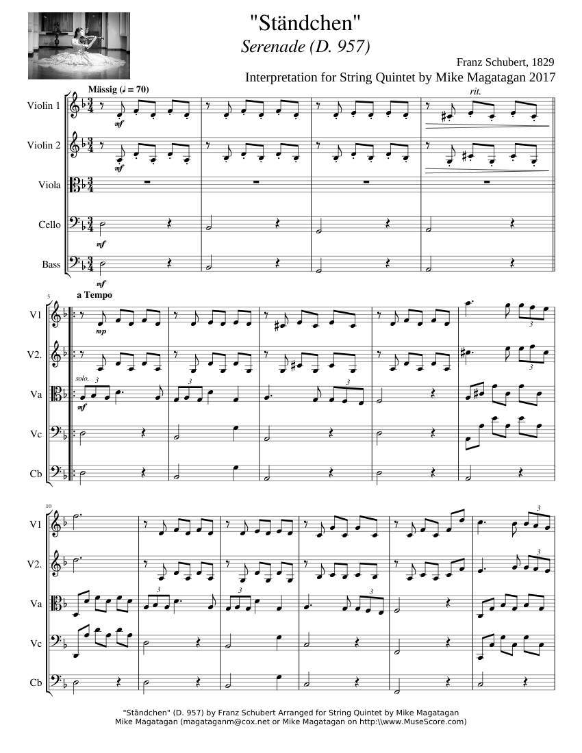 Standchen D 957 for String Quintet Sheet music for Contrabass, Violin ...