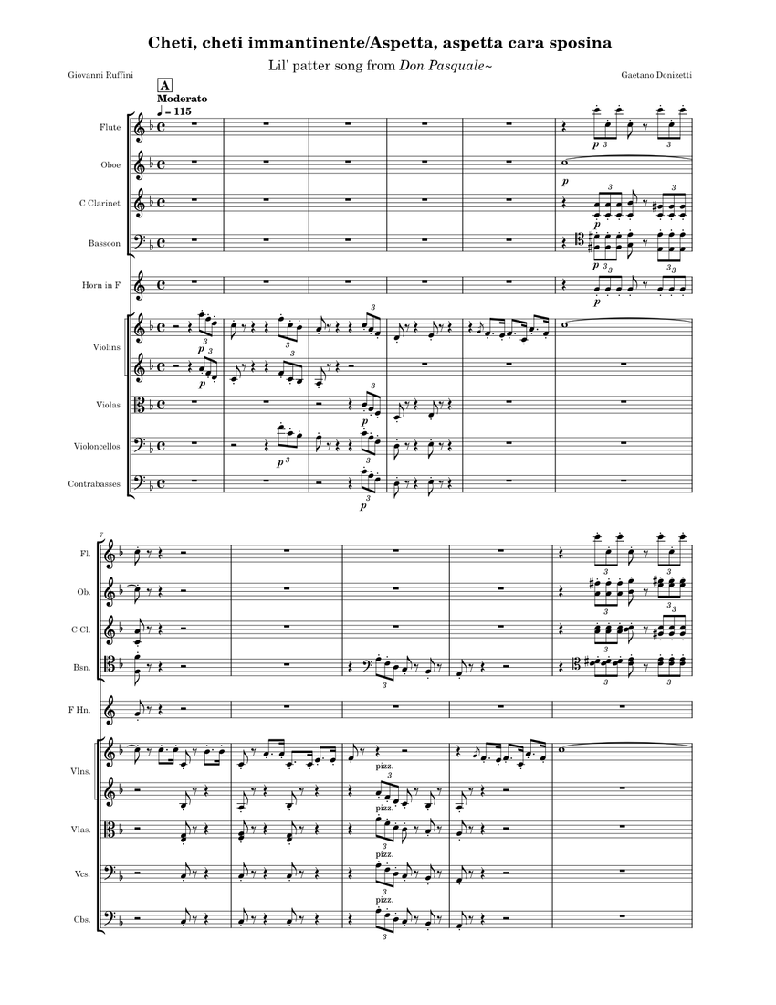Don Pasquale – Gaetano Donizetti : Cheti, cheti/Aspetta, aspetta (instrumental) Sheet music for ...