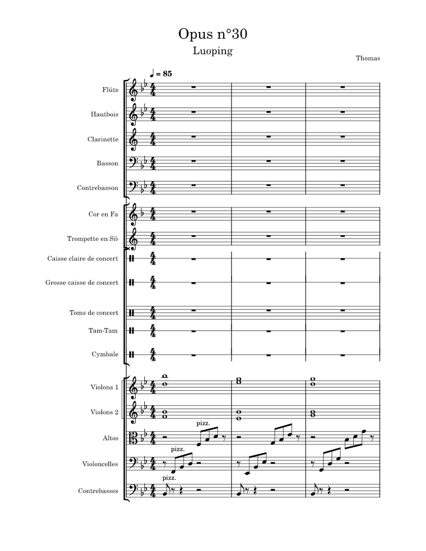 Opus n°30 Luoping Sheet Music for Flute, Oboe, Bassoon, Trumpet in b-flat & more instruments ...