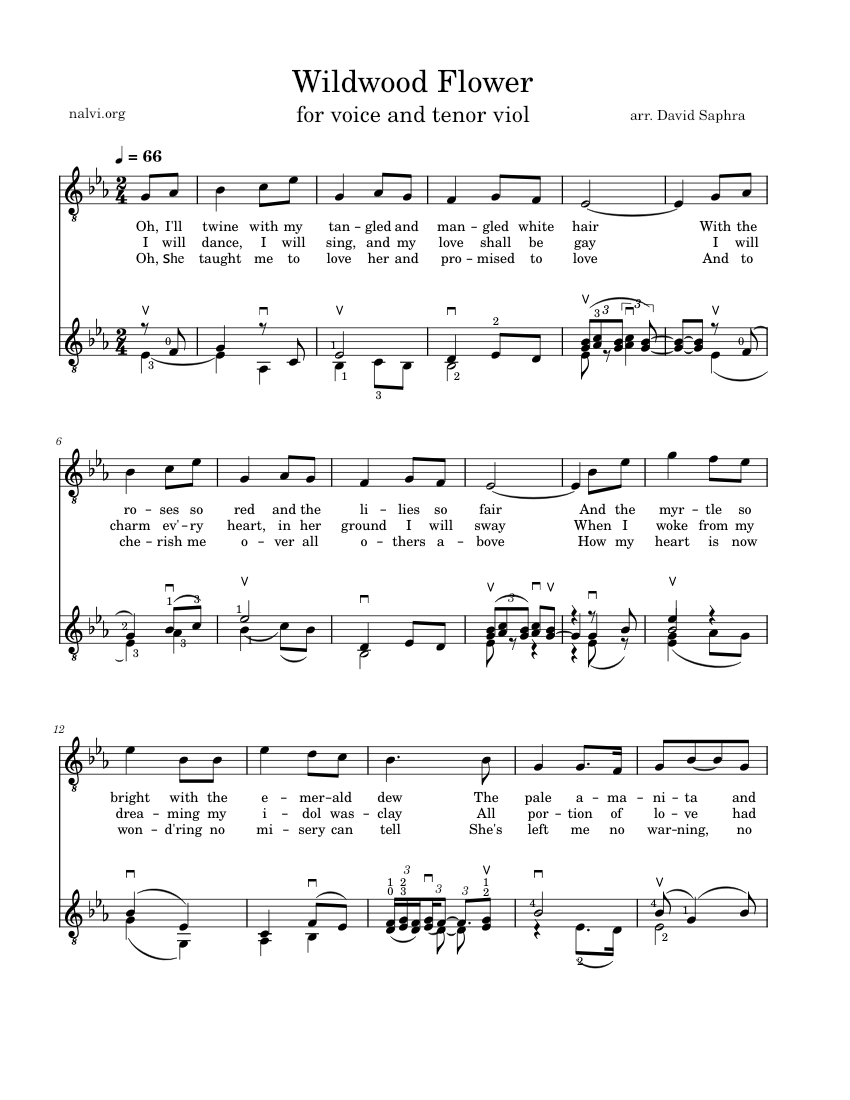 Wildwood Flower – Anonymous Sheet Music for Clarinet bass, Violin (Solo ...
