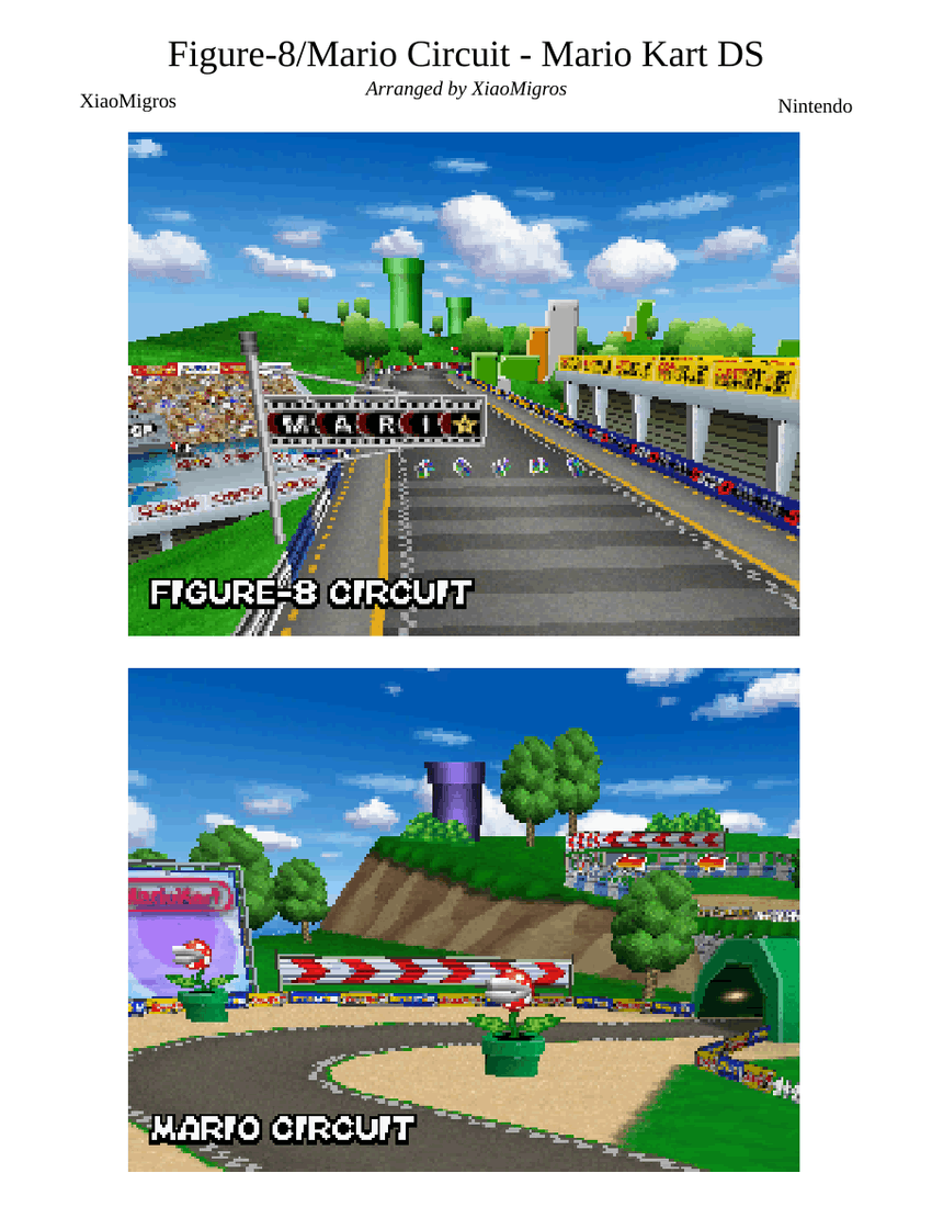 DS Figure-8 / Mario Circuit but it's fully instrumentalised〖BIFI #21 ...