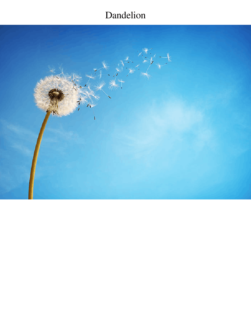 Dandelion Sheet music for Trombone, Euphonium, Tuba, Flute & more ...
