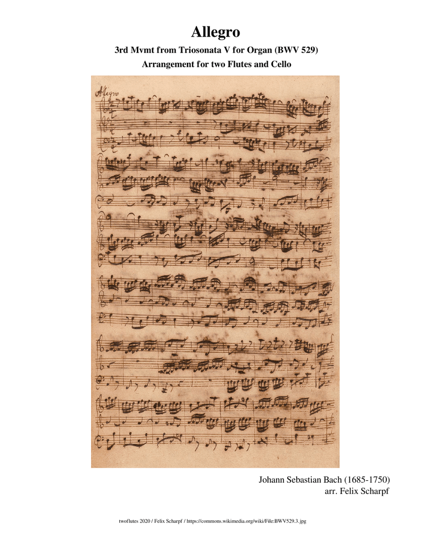 Bach, Johann Sebastian - Allegro, 3rd Mvt from Trio Sonata BWV 529 arr ...