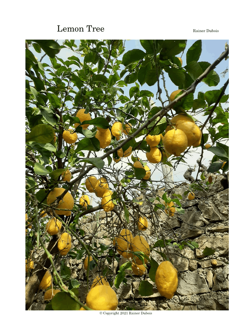 Lemon Tree Sheet music for Piano, Trombone, Soprano, Alto & more ...